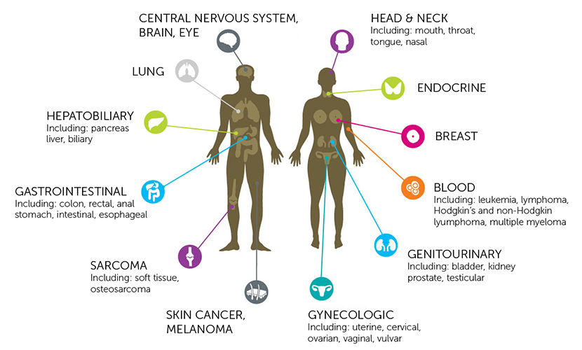 Disease Types Mary Crowley Cancer Research